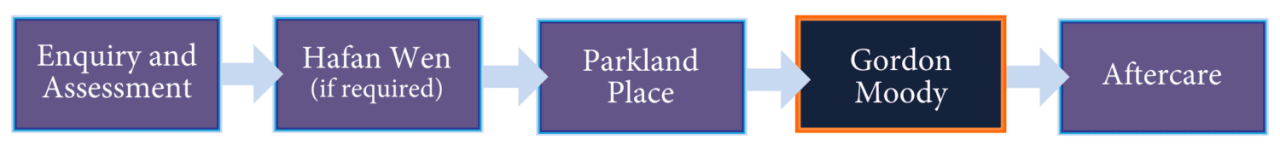 Adferiad Gambling Treatment Pathway - Parkland Place